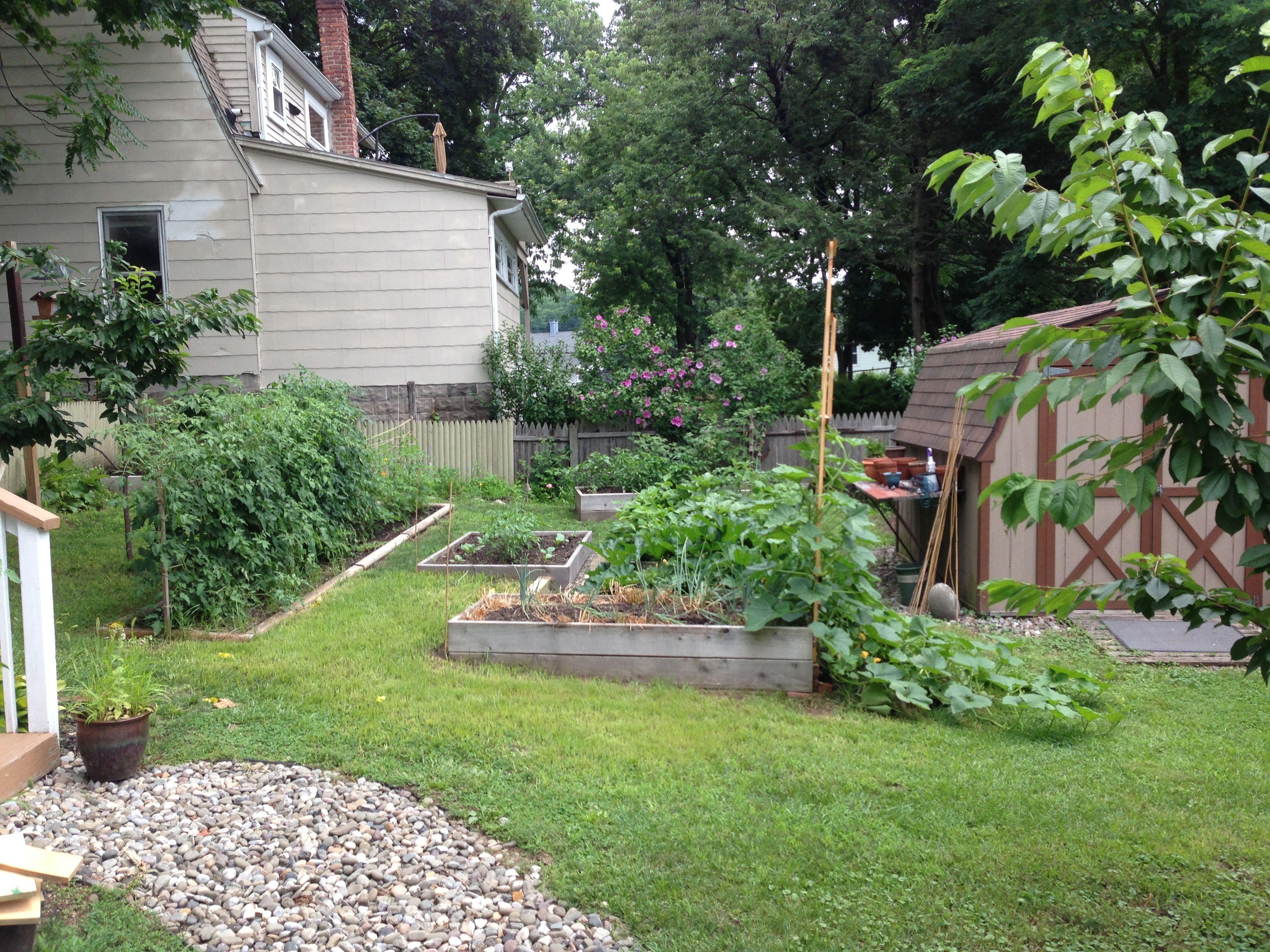 Urban Farming :: User Garden Images